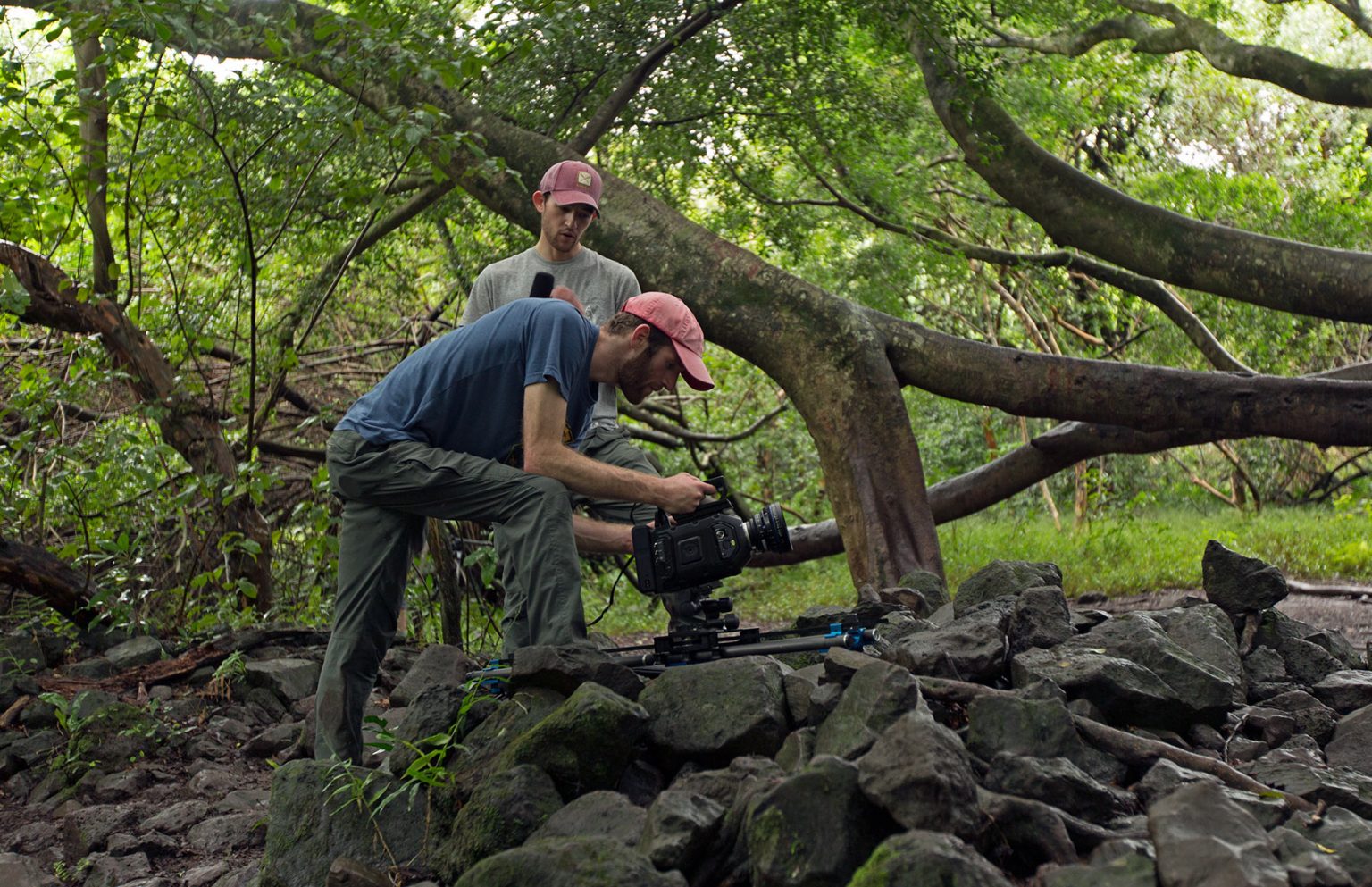 5 EPIC National Parks Near Nashville You'll Love (Photos + Guide)