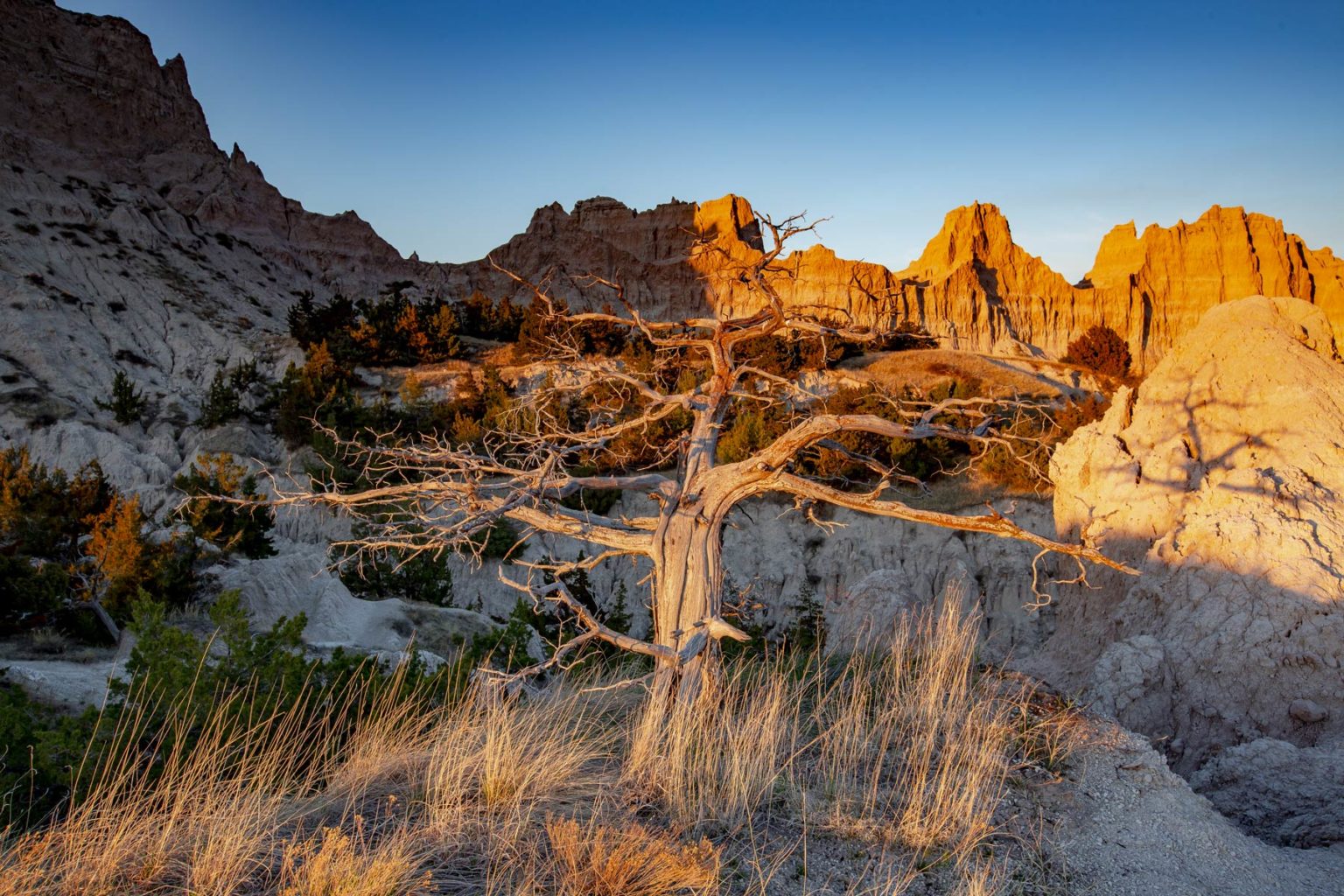 18 BEAUTIFUL Massachusetts National Parks (Helpful Guide + Photos)