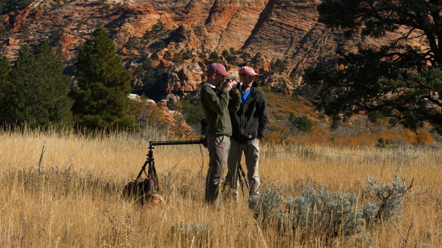 12 Fantastic Facts About Zion National Park