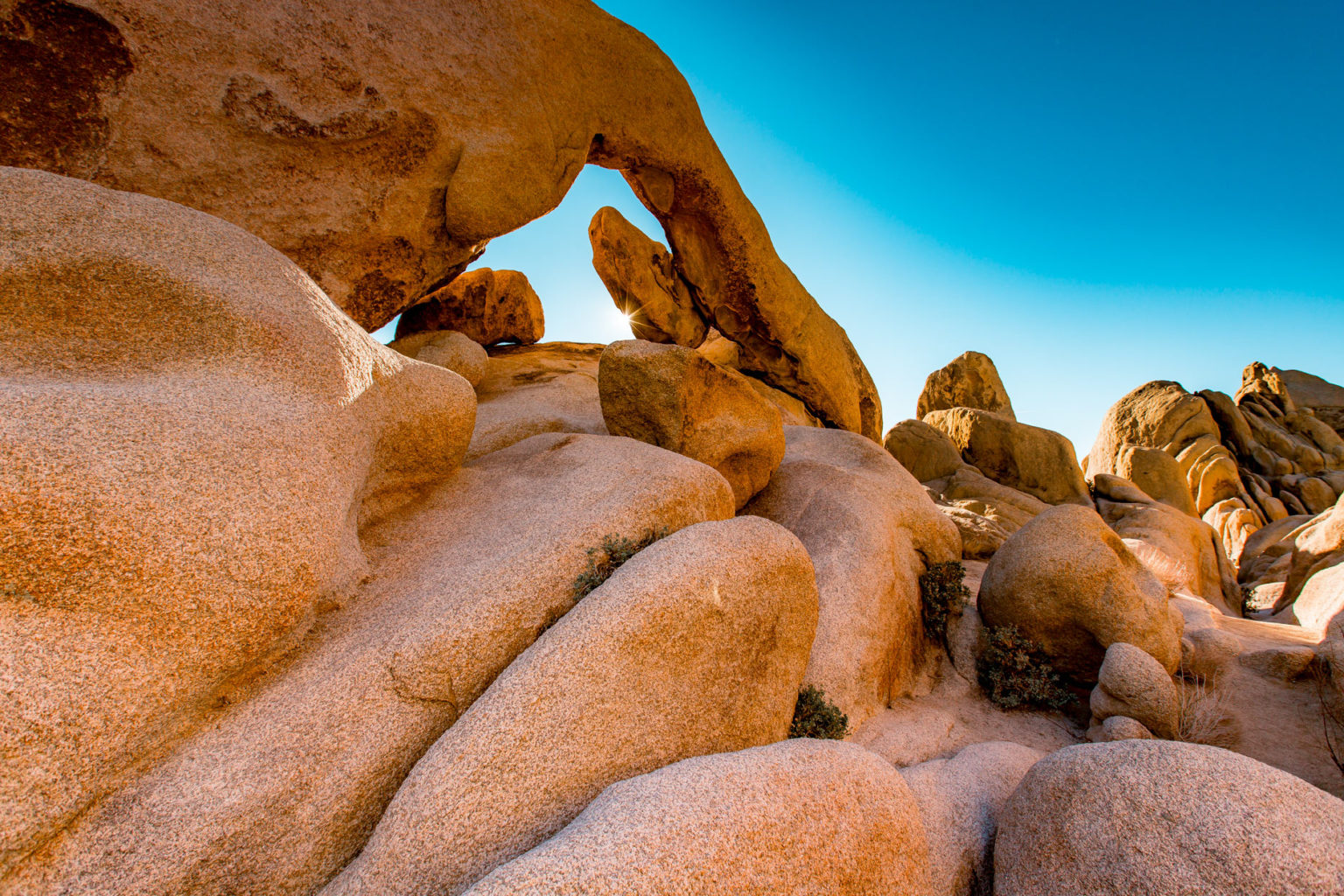 JOSHUA TREE National Park: An Epic Guide to California's Desert Oasis