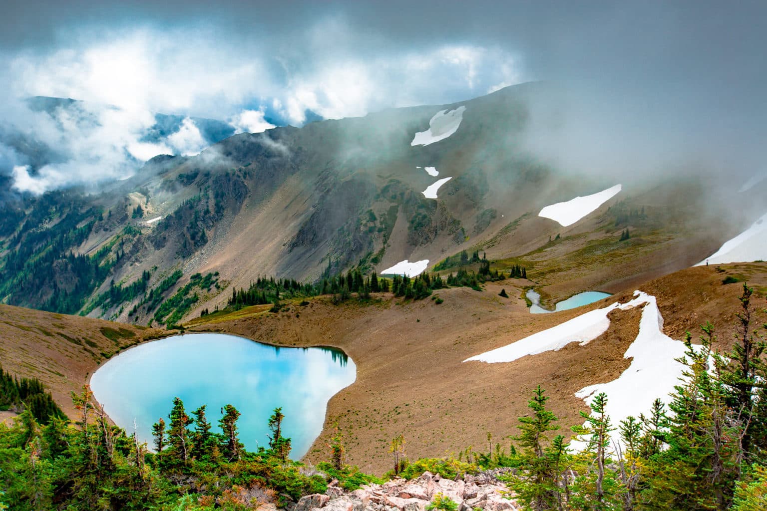 OLYMPIC National Park, Washington (Visiting Guide + Photos)