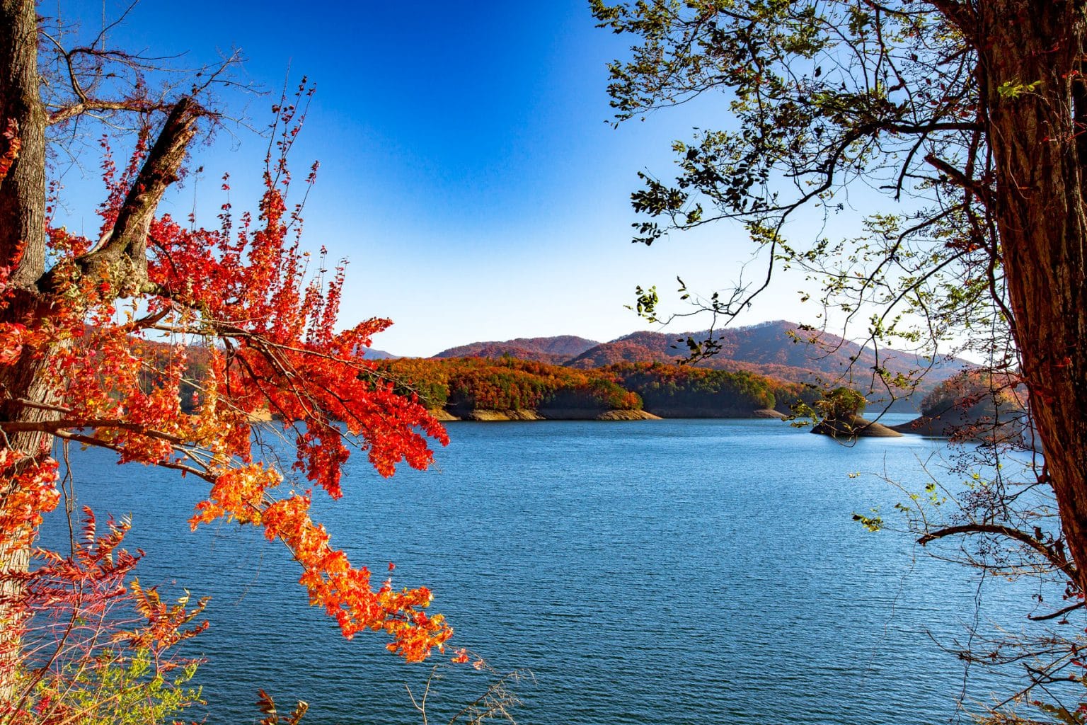 15 AMAZING Tennessee National Parks Worth Visiting (Guide)