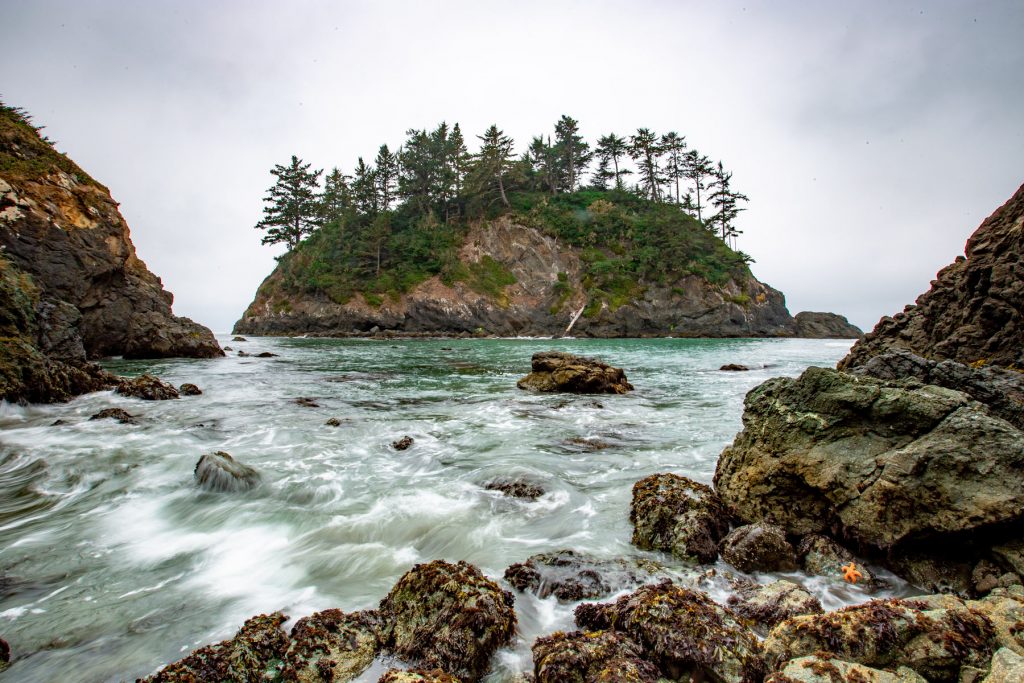 12 FASCINATING Facts About Redwood National Park to Know