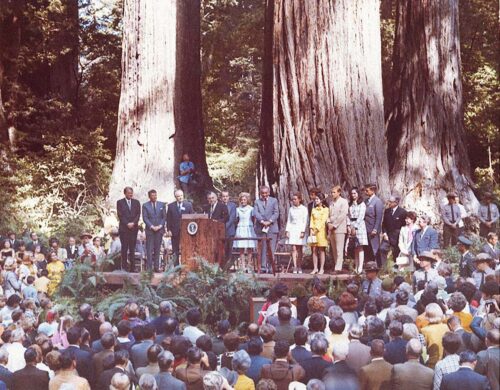 12 FASCINATING Facts About Redwood National Park to Know