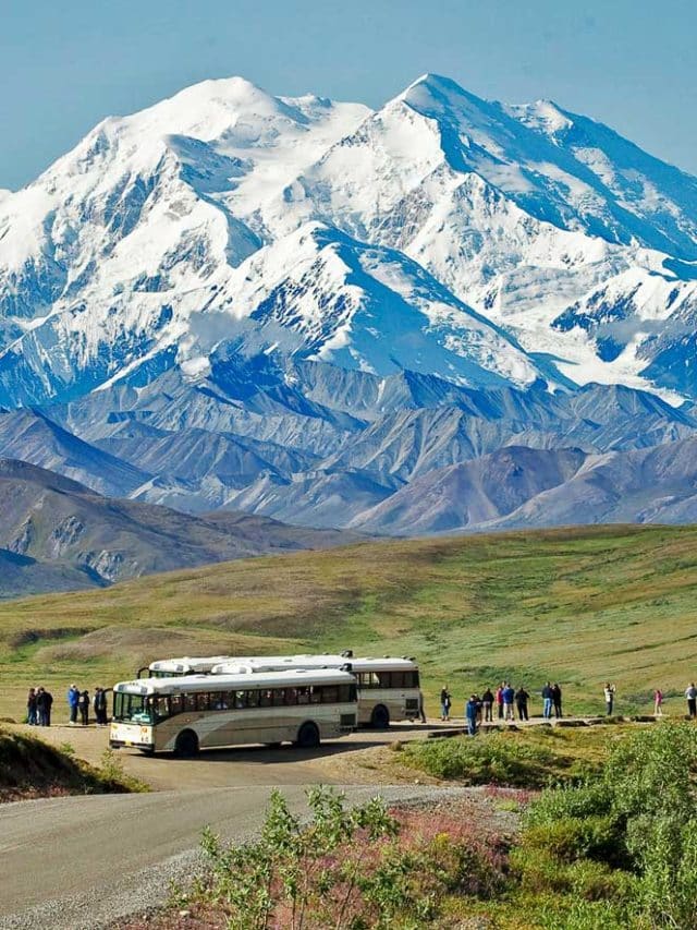 What To Pack For Denali National Park at Whitney Johnson blog