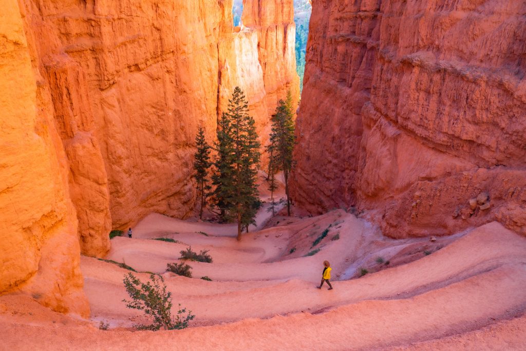 5 EPIC National Parks Near Moab You'll Love (Expert Guide + Photos)