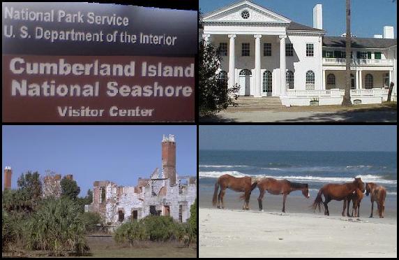 Whose Island Is It Anyway | A History & Guide To Cumberland Island ...