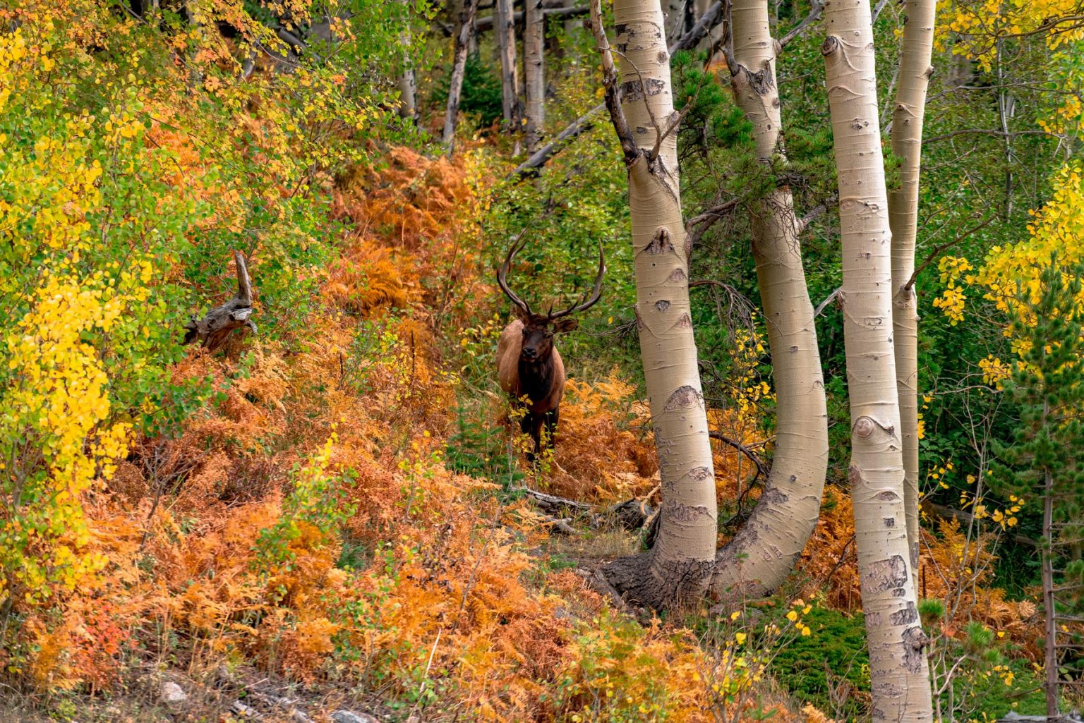 15 EPIC Things to Do in Rocky Mountain National Park (+ Itinerary)