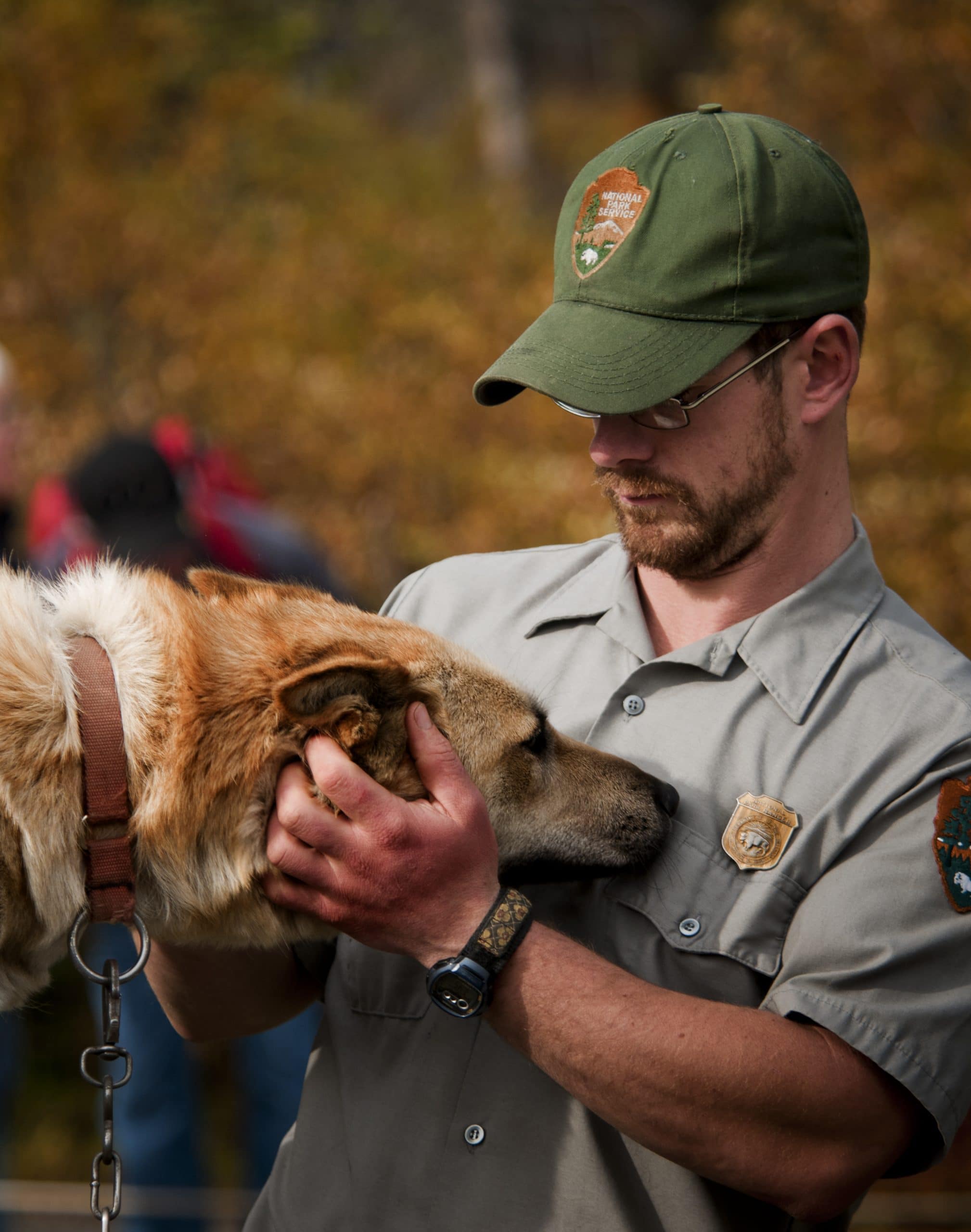 10+ (GREAT) Yellowstone National Park Facts You Probably Didn't Know