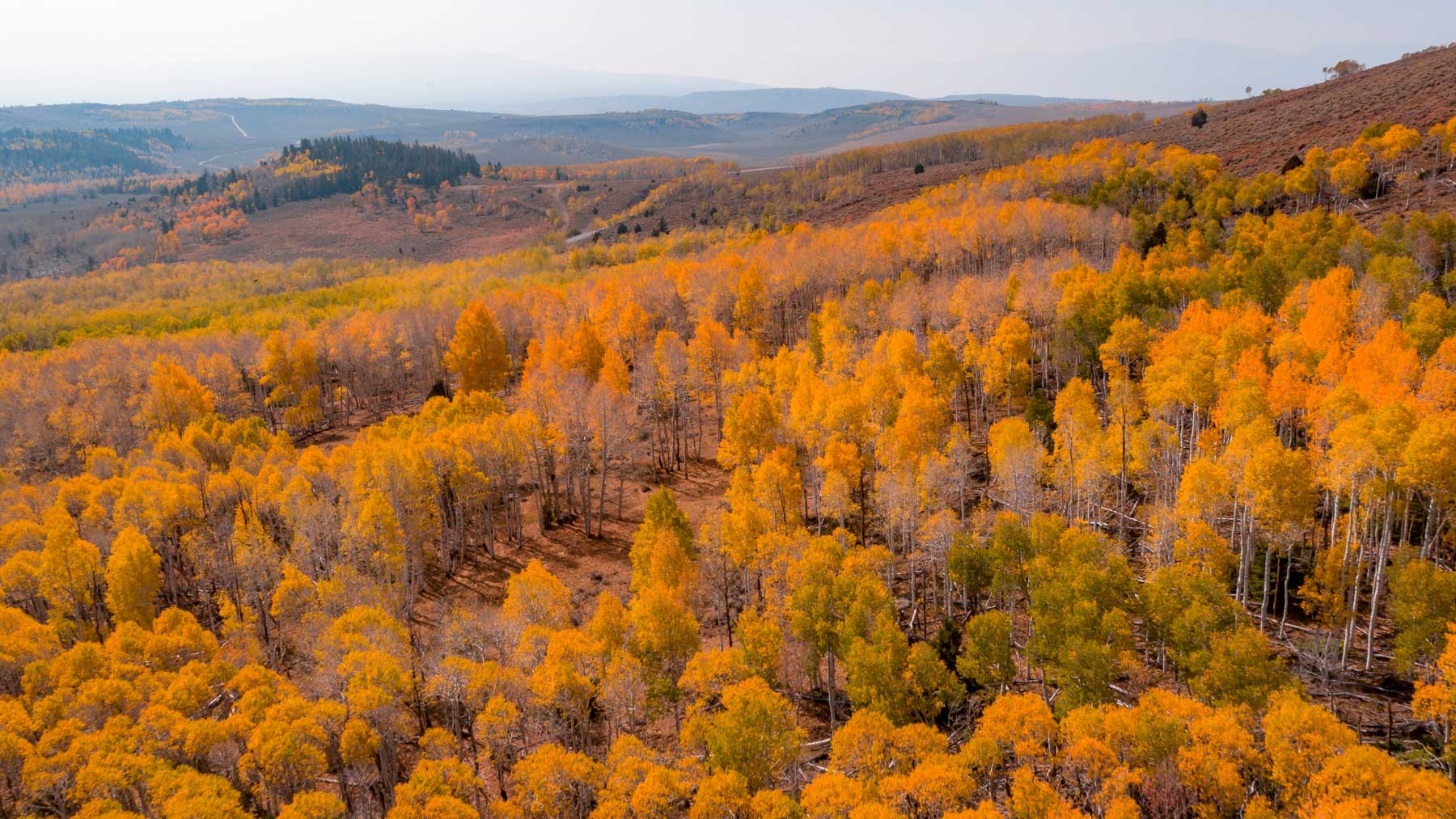Fishlake National Forest: It's Even More Magical Than You Know (Guide)