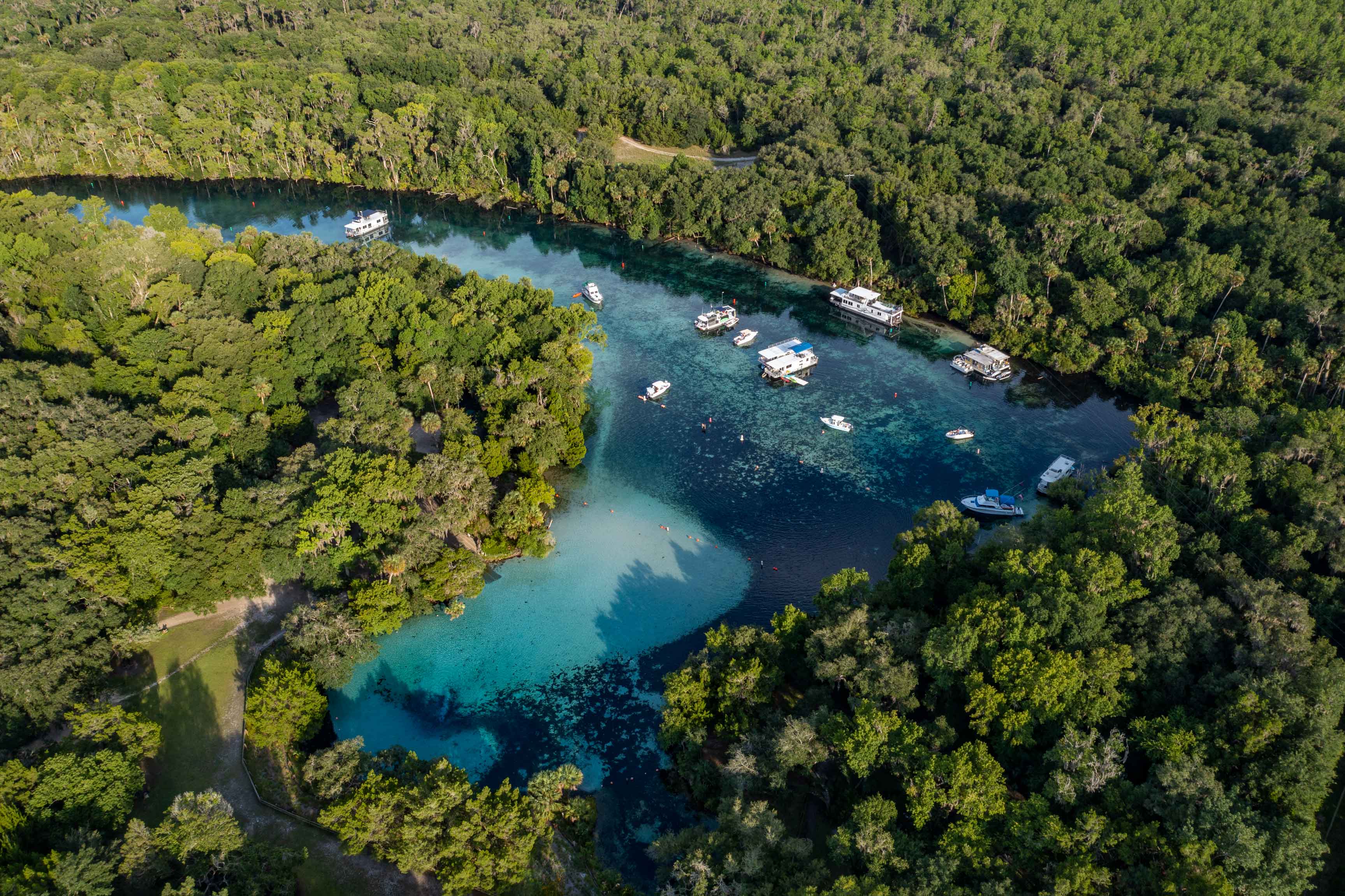 OCALA NATIONAL FOREST: An (Epic) Guide to Florida's Hidden Gem