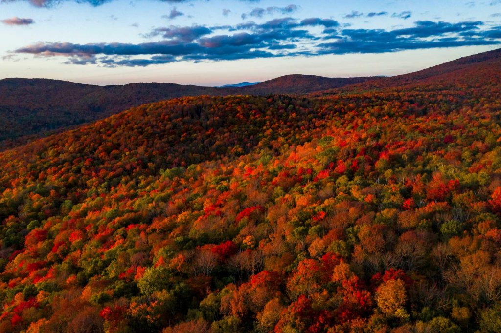 GREEN MOUNTAIN NATIONAL FOREST (Vermont, U.S.)