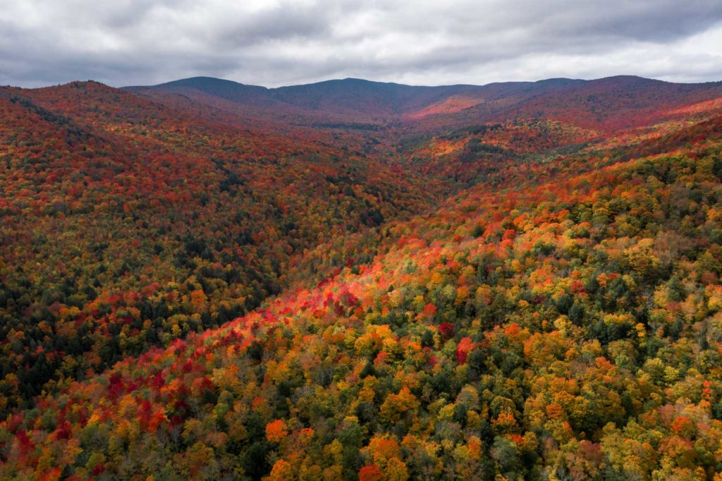 GREEN MOUNTAIN NATIONAL FOREST (Vermont, U.S.)