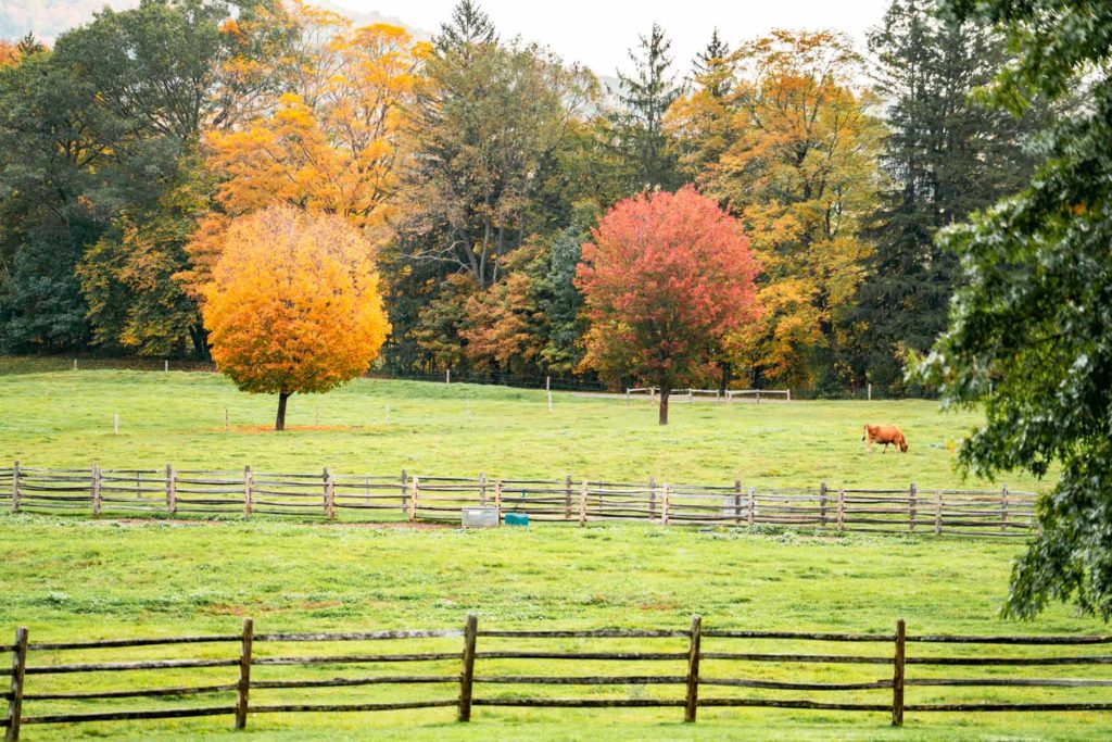 3 (EPIC) Vermont National Parks for Your Visit to the Green Mountain State