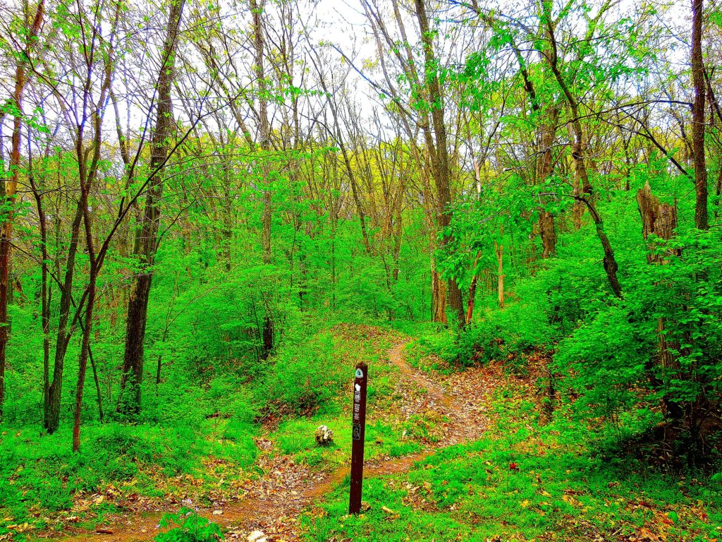 8 BEST National Parks Near Chicago You'll Love (Photos + Helpful Guide)