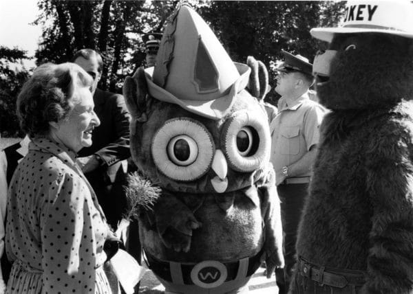 12 AMAZING Facts About Big Bend National Park