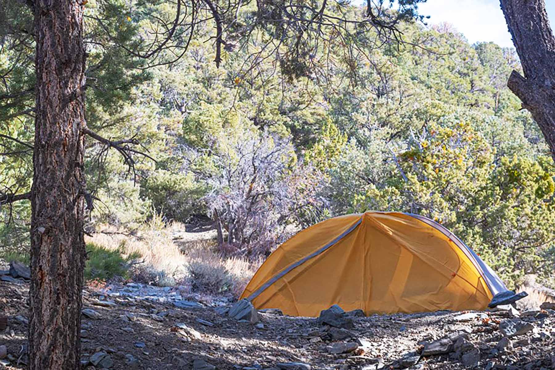 9 BEST Death Valley National Park CAMPGROUNDS (+ Camping)