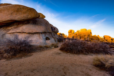 15 AMAZING Facts About Joshua Tree National Park to Know