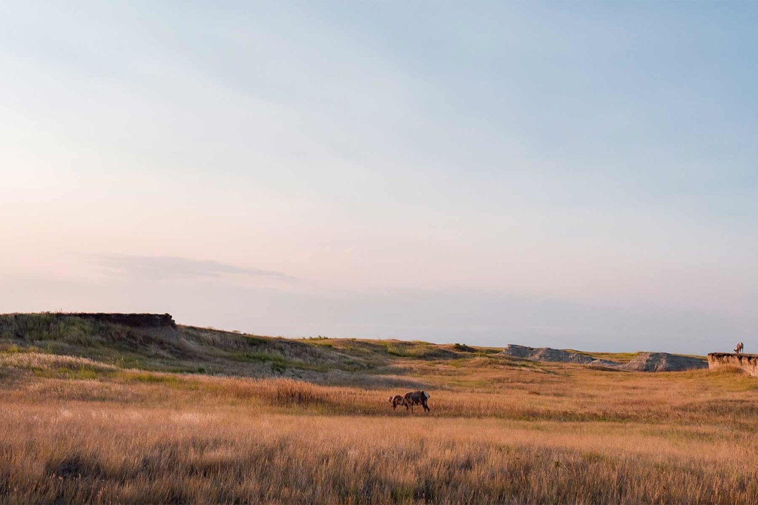 20 EPIC Things to Do in Badlands National Park (+ Tips)
