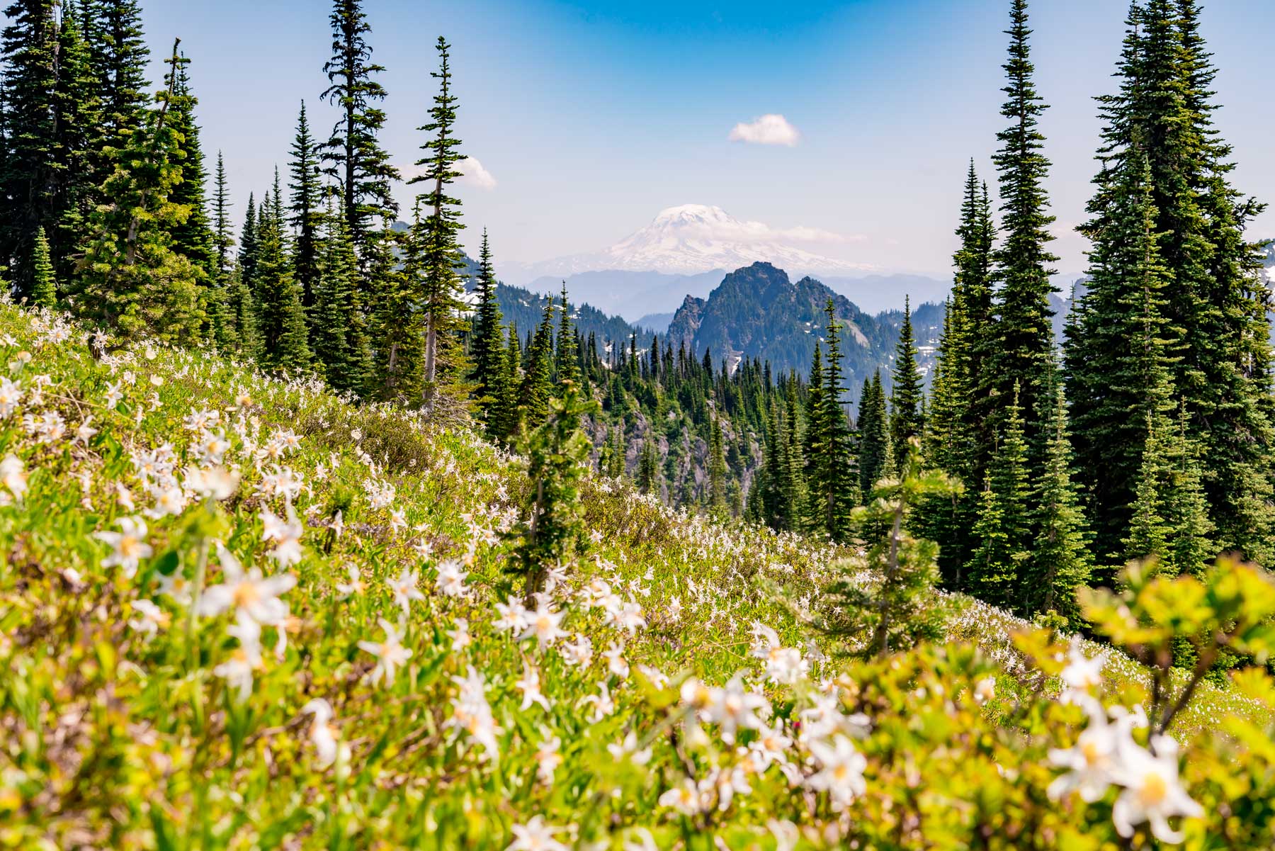 PARADISE Mt Rainier is the Most Beautiful Place in US (Here's Proof)