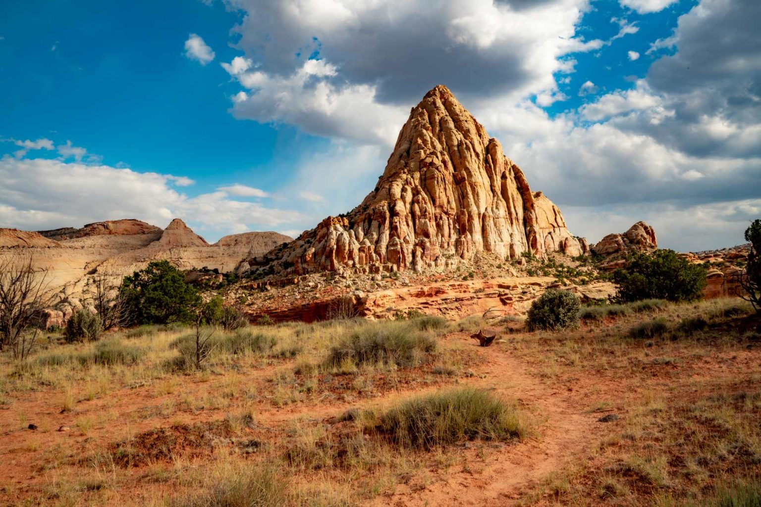 12 AMAZING Facts About Capitol Reef National Park