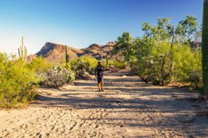 11 FASCINATING Facts About Saguaro National Park You'll Love