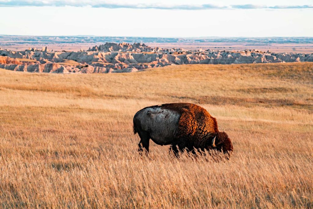 Amazing National Parks Facts On Every National Park In America
