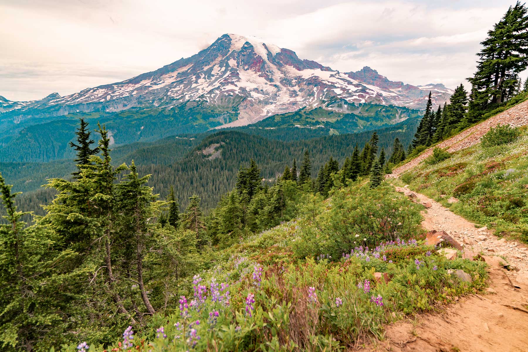 PARADISE Mt Rainier is the Most Beautiful Place in US (Here's Proof)