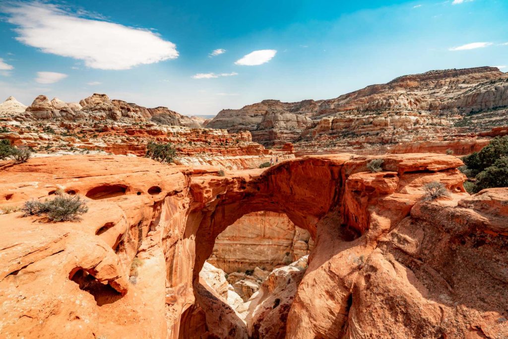 12 AMAZING Facts About Capitol Reef National Park