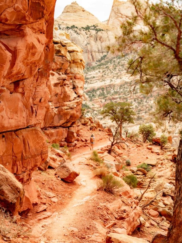 All 5 Incredible Utah National Parks (Guide) - More Than Just Parks ...