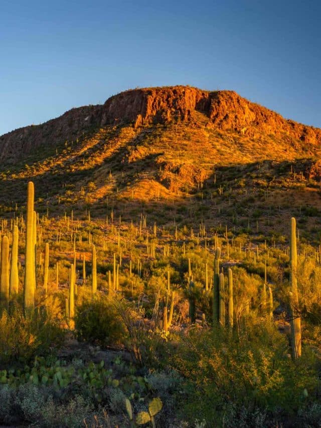 10 INSANELY Beautiful Places in Arizona (Fall) - More Than Just Parks ...