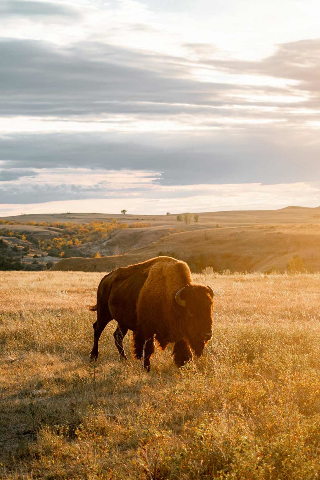 5 EPIC Indiana National Parks You Should See (+ Photos)