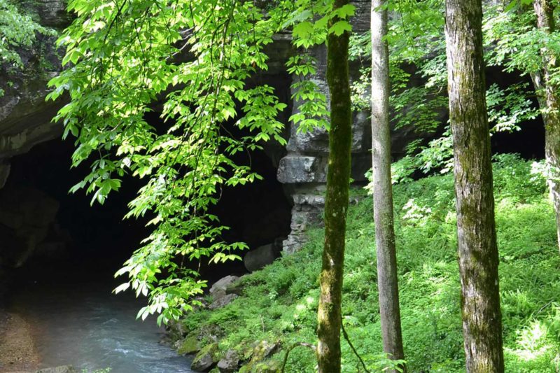 COMPLETE List of National Monuments (Printable Map + By State)