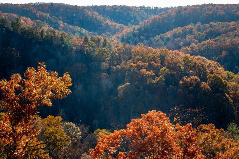4 EPIC National Parks Near Raleigh You'll Love (Photos + Guide)