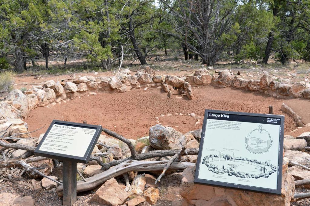 15 AMAZING Things to Do at the South Rim of the Grand Canyon