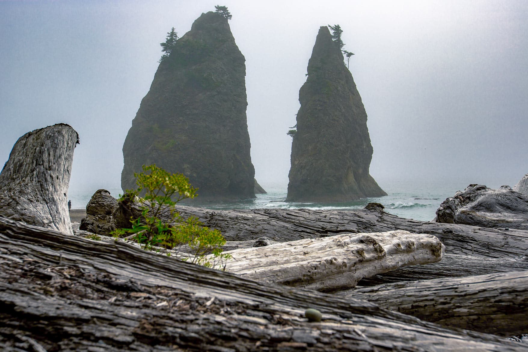 20 EPIC Things to Do at Olympic National Park (Helpful Guide)