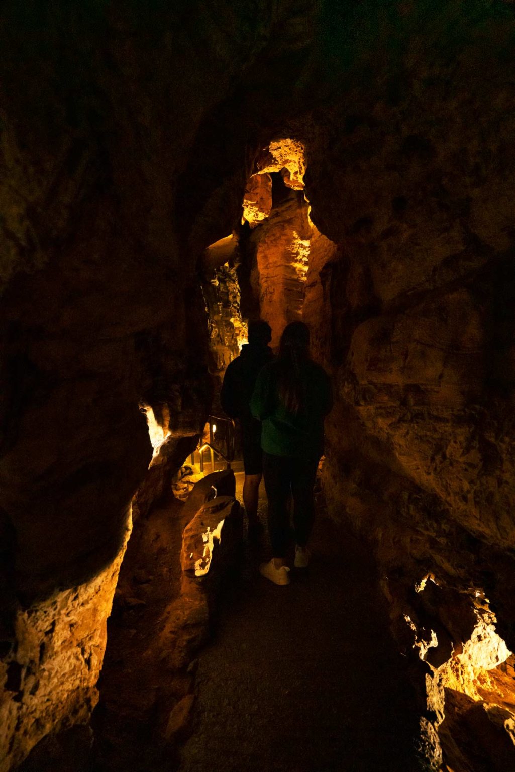 15 EPIC Things to Do in Wind Cave National Park (+ Itinerary)