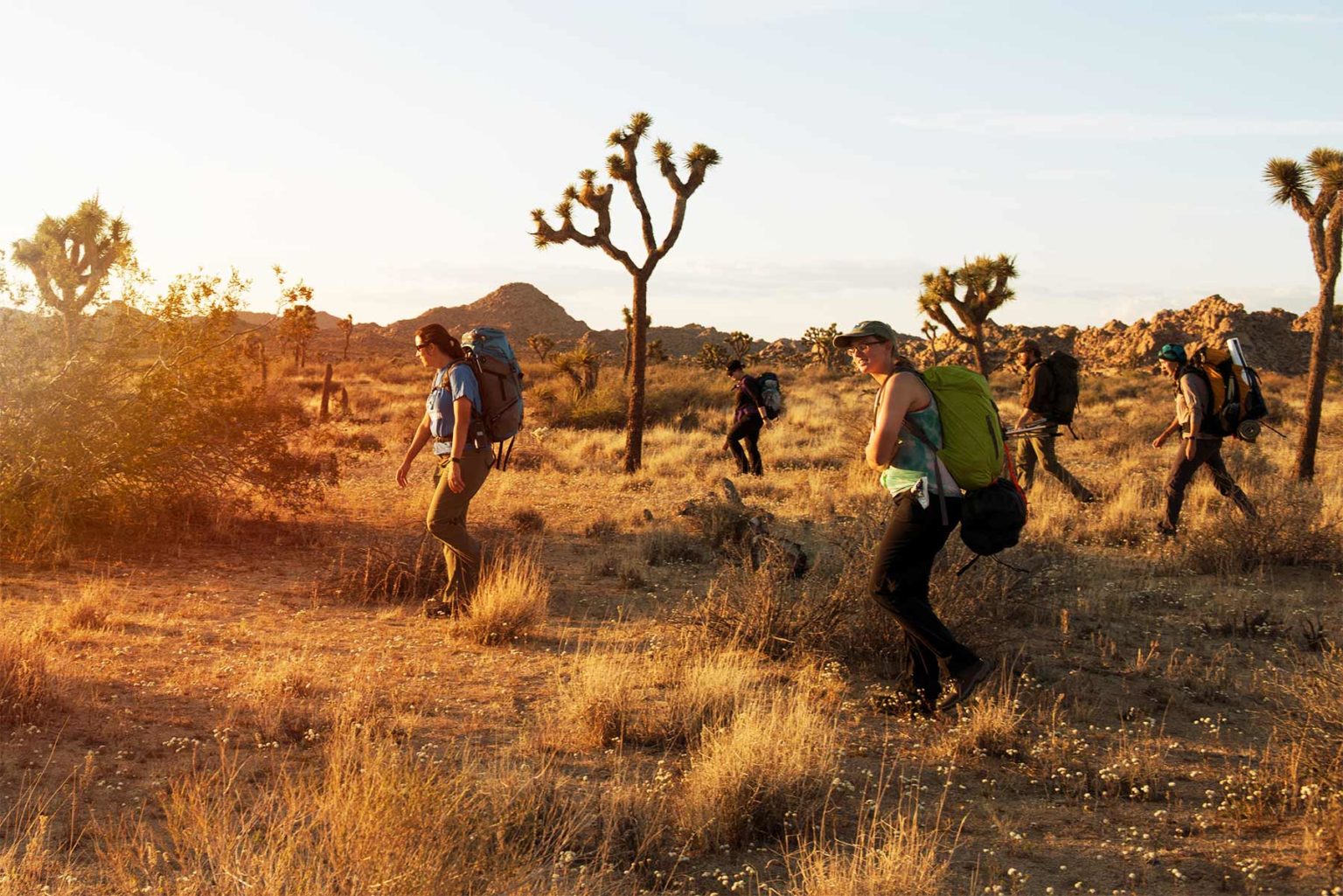 25 EPIC Things to Do in Joshua Tree National Park (Helpful Guide)