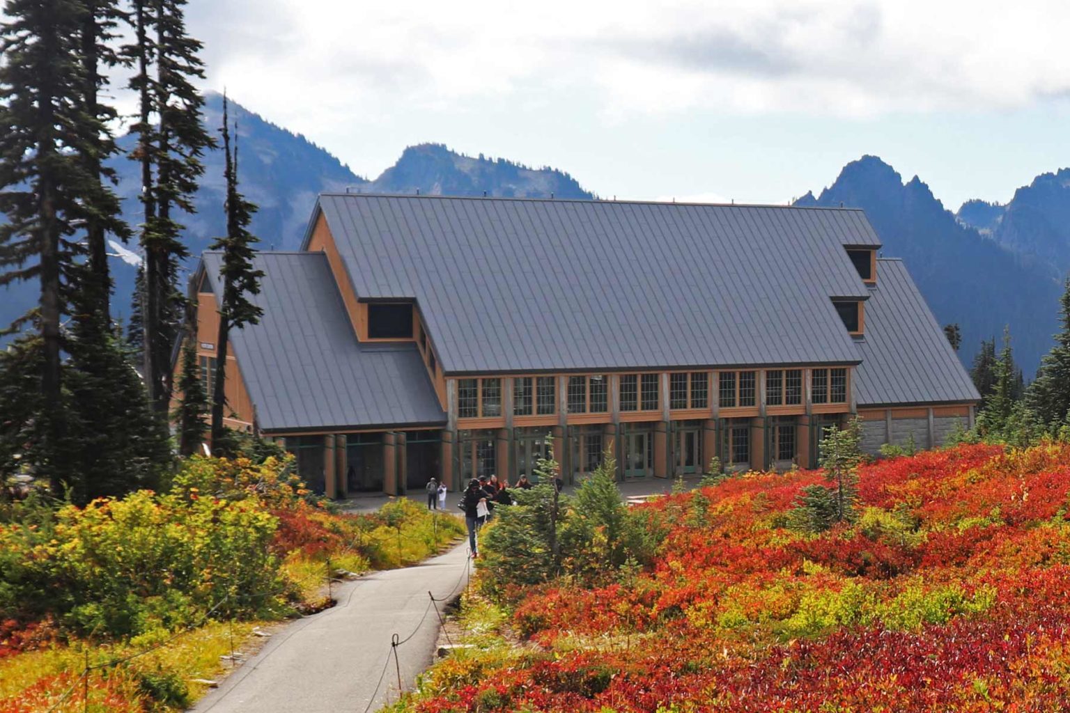 PARADISE Mt Rainier is the Most Beautiful Place in US (Here's Proof)