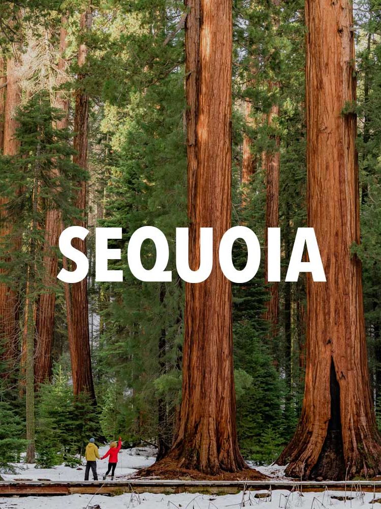 15 EPIC Things to Do at Sequoia National Park (Photos + Tips)