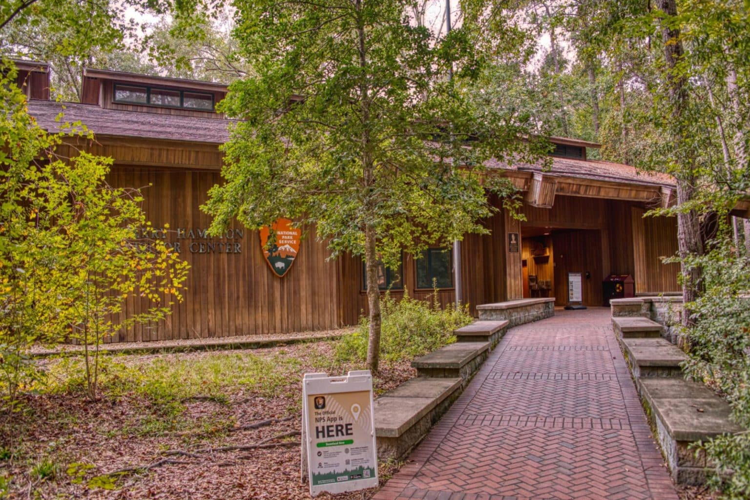 15 EPIC Things to Do at Congaree National Park (+ Photos)