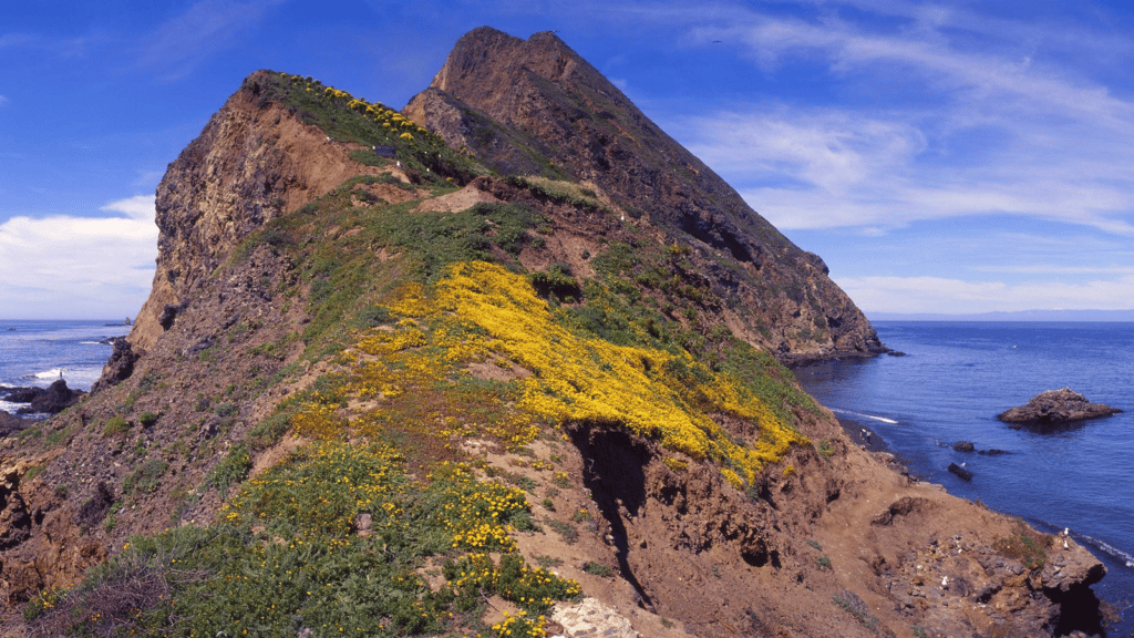 13 SURPRISING Channel Islands National Park Facts (Guide)