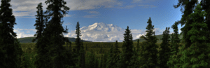 10 FASCINATING Facts About Denali National Park (Facts + Trivia)