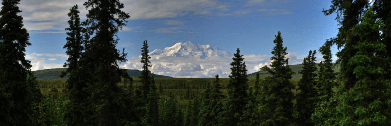 10 FASCINATING Facts About Denali National Park (Facts + Trivia)