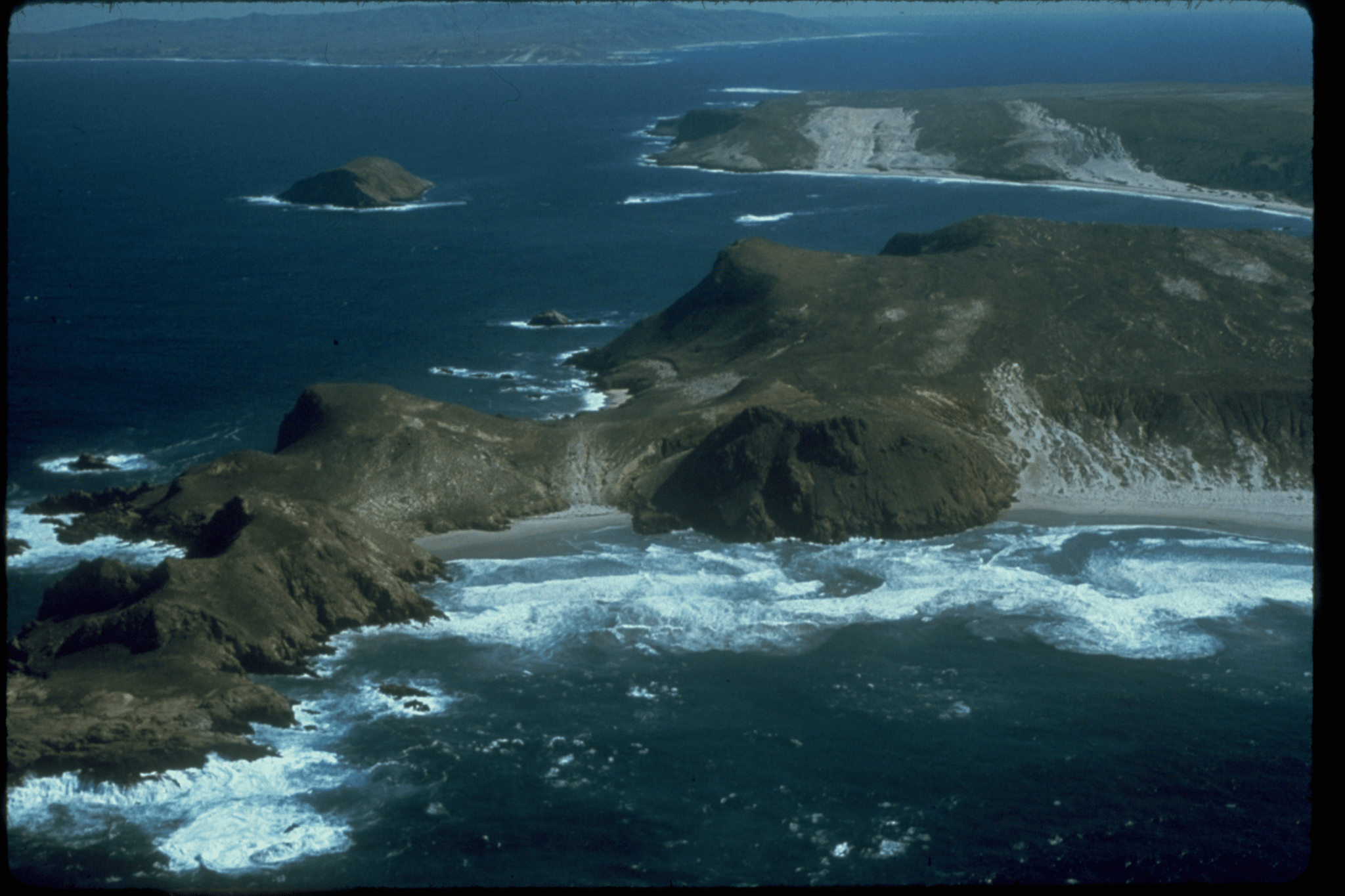 12 SURPRISING Channel Islands National Park Facts (Guide)