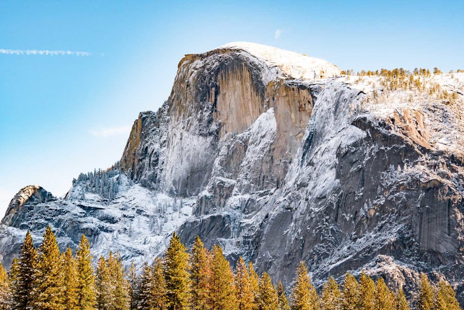 7 Leave No Trace Principles Simplified (+Examples, Kids Guide)