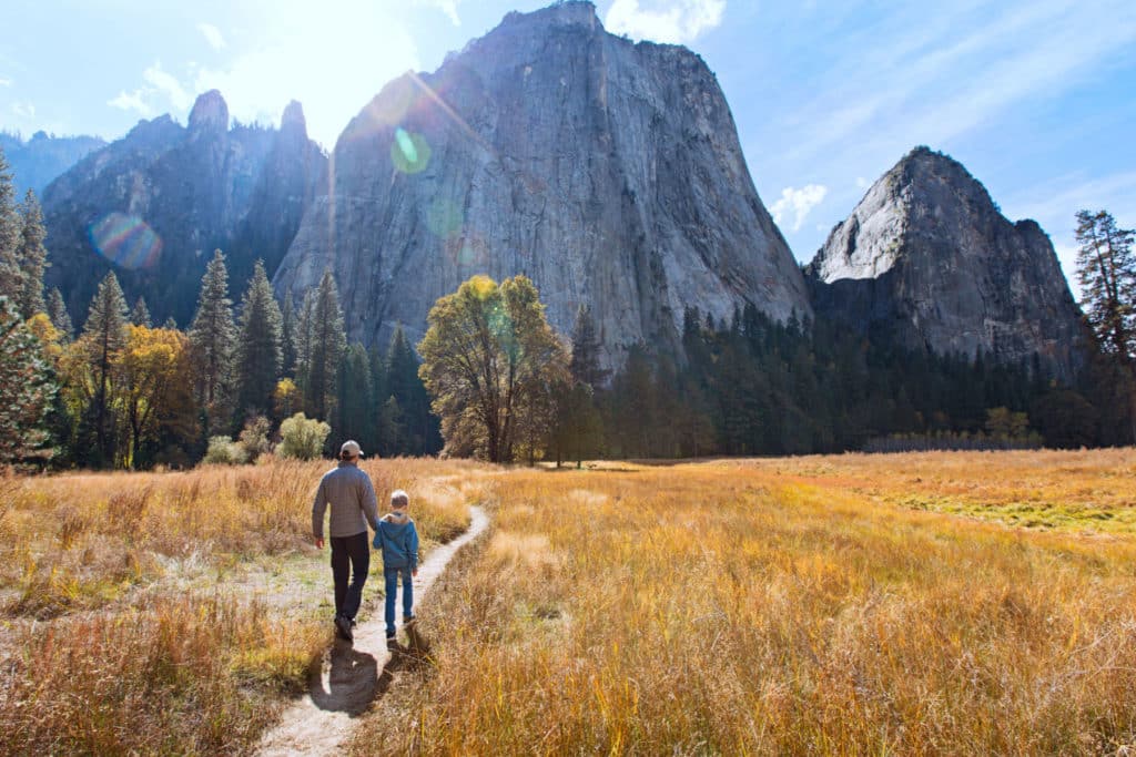 20 BEST Hikes in Yosemite National Park (Helpful Guide)