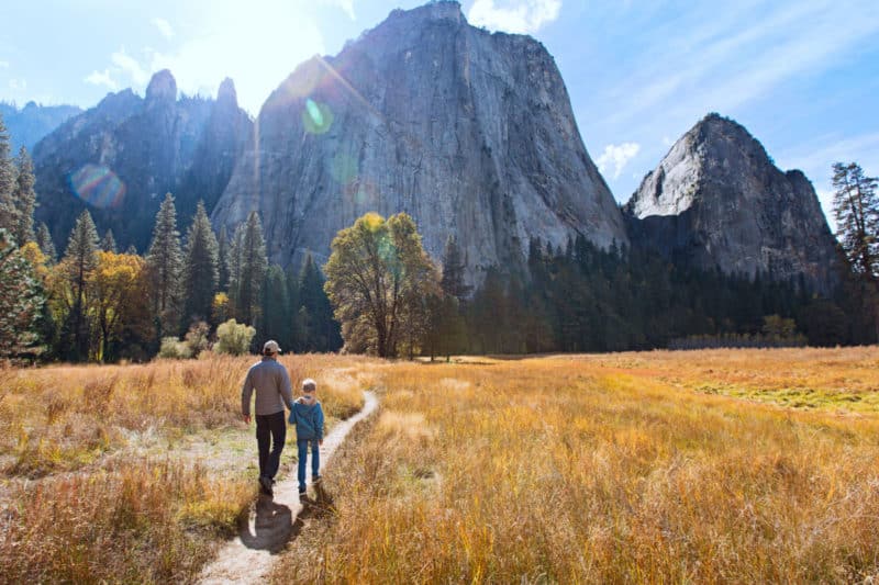 20 BEST Hikes in Yosemite National Park (Helpful Guide)
