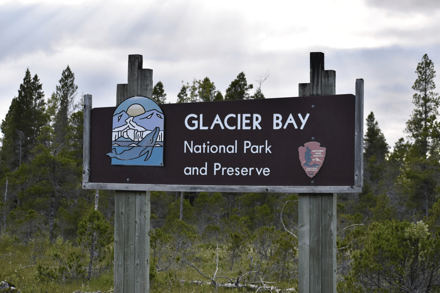 11 AMAZING Facts About Glacier Bay National Park