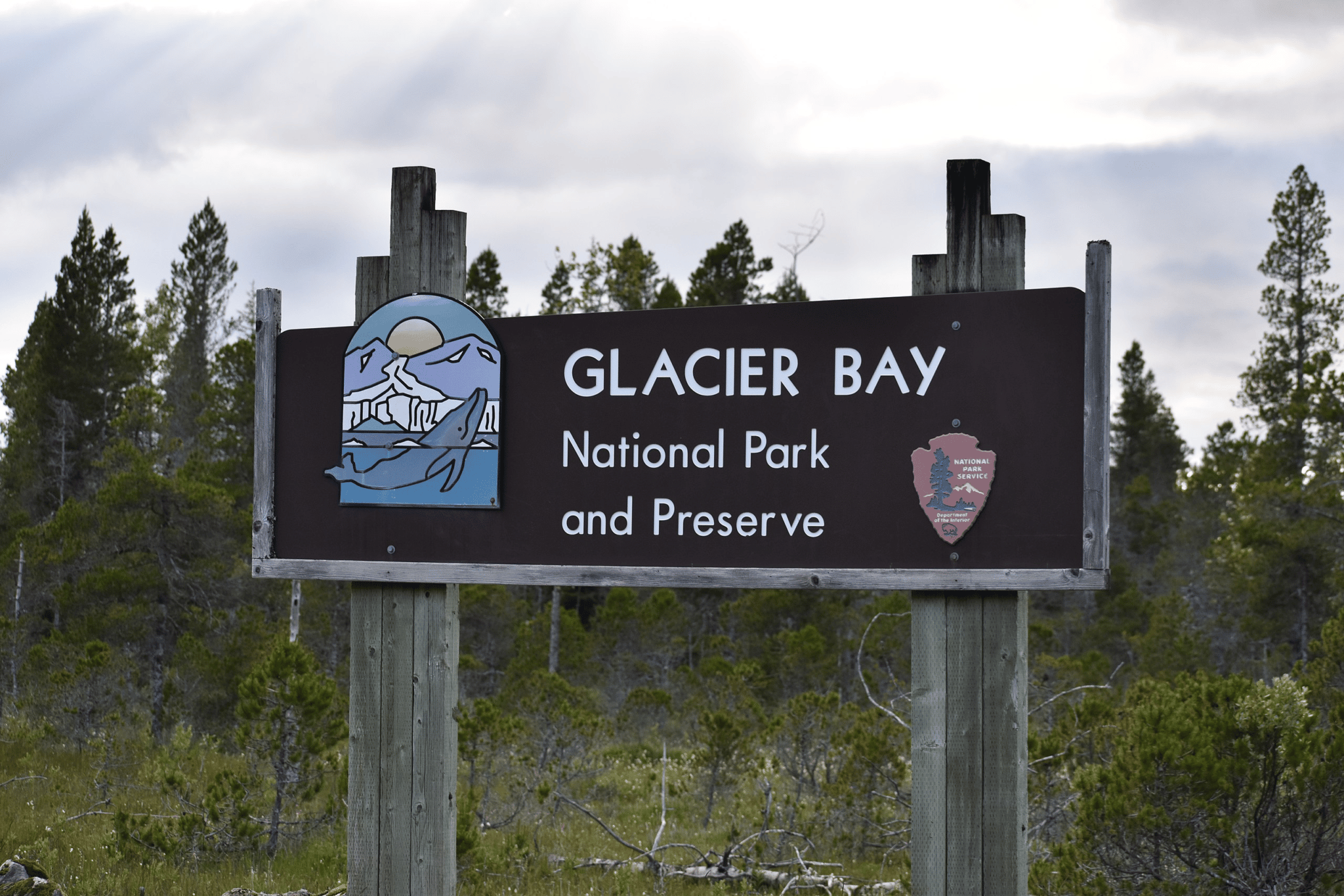 11 AMAZING Facts About Glacier Bay National Park